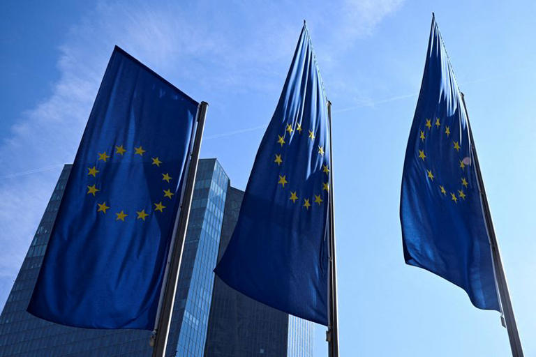 ECB's decision to hold rates was close call for some, accounts show