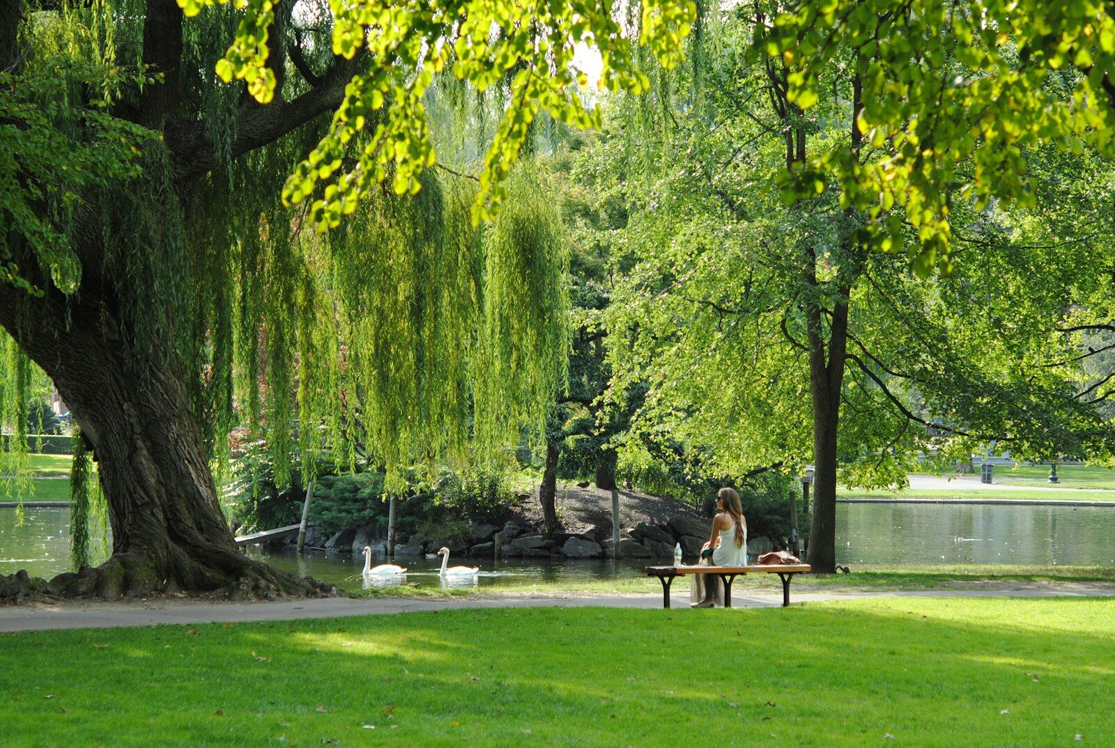 Cities with the best public parks