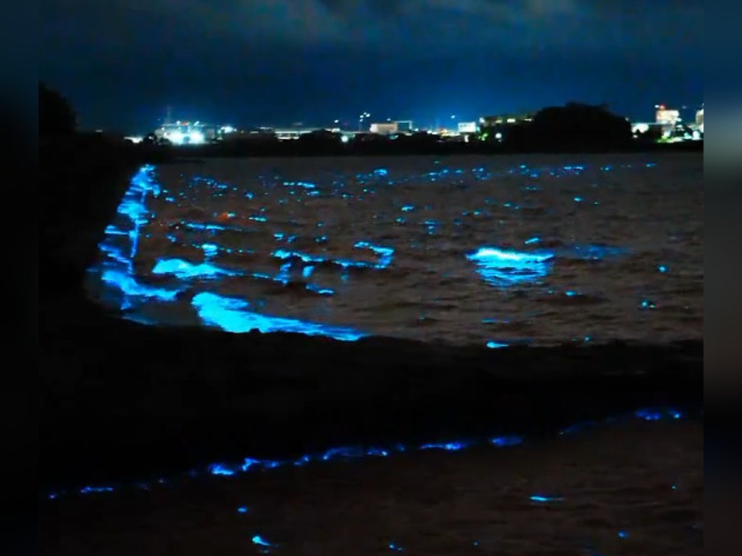 Rare natural phenomenon: waves glow neon blue