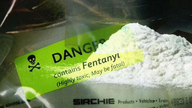 Seven indicted in alleged Georgia prison drug ring tied to fentanyl ...