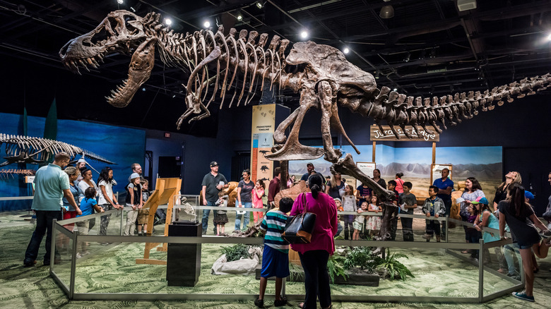 One of Orlando's best museums blends kid-friendly interactive exhibits ...