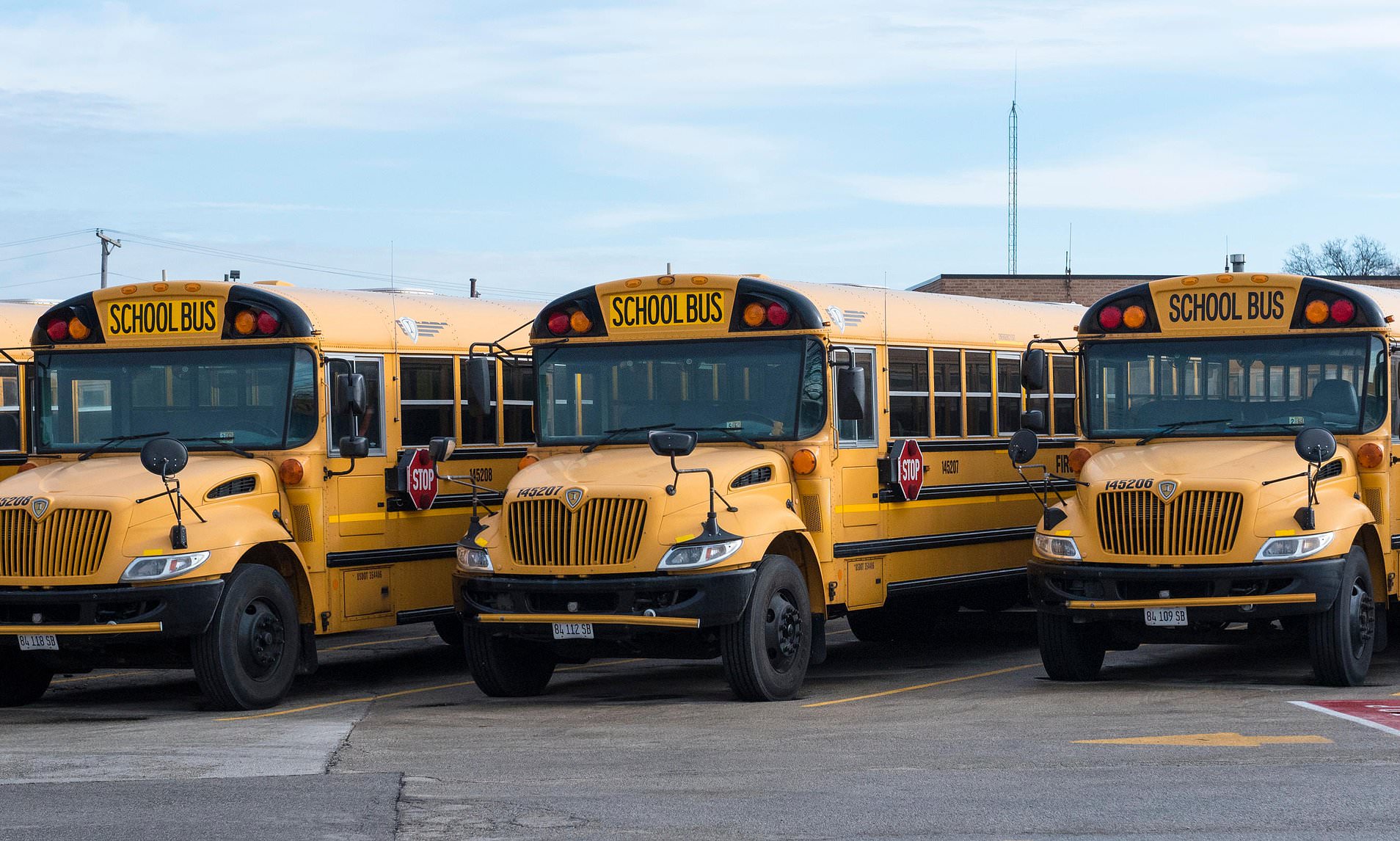 Tartan Army hire yellow US school buses - paying $30 each - to save ...