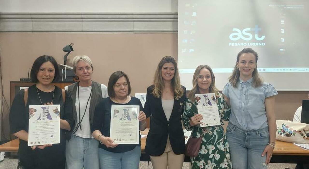 Lotta all’ictus, riconoscimento d’eccellenza per la provincia di Pesaro ...