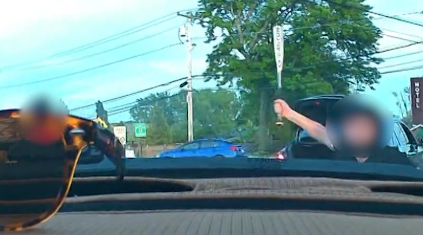 2 teens charged for menacing and attacking drivers in Bayville