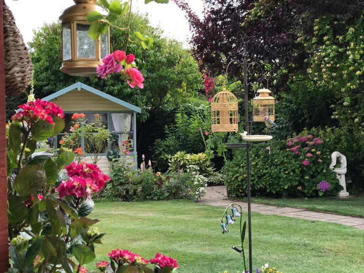 15 flower garden moments that proved compassion always blooms
