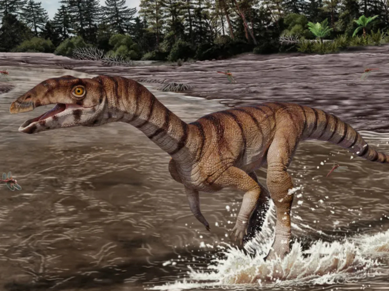 Scientists just found a "fake dinosaur" that walked on two legs like a ...