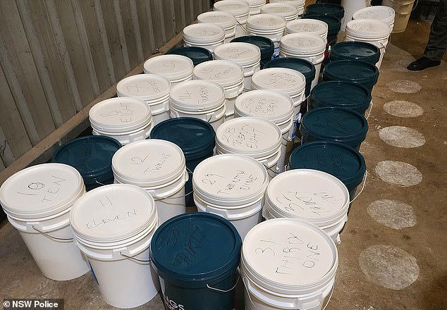 Coconut Cartel cracked: Police claim they have dismantled new gang ...