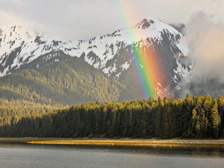 The Boat Company - Best Alaska Cruise for Fishing AND that Gives Back