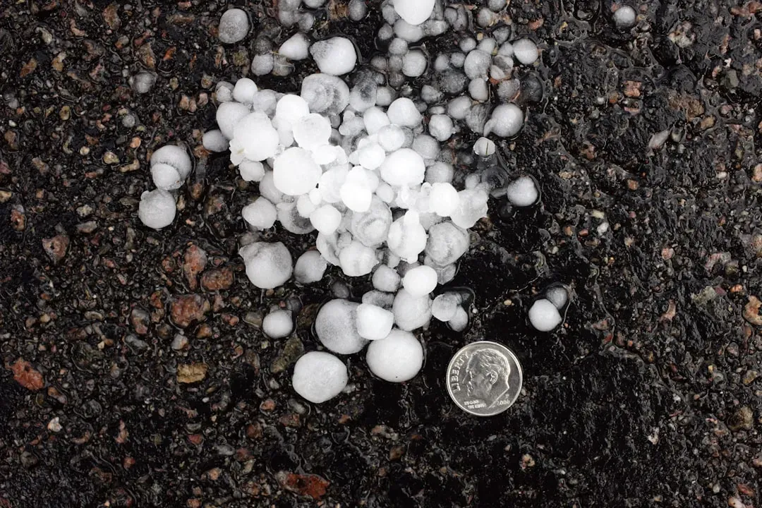 Why you should never ignore a stray hailstone found in your backyard