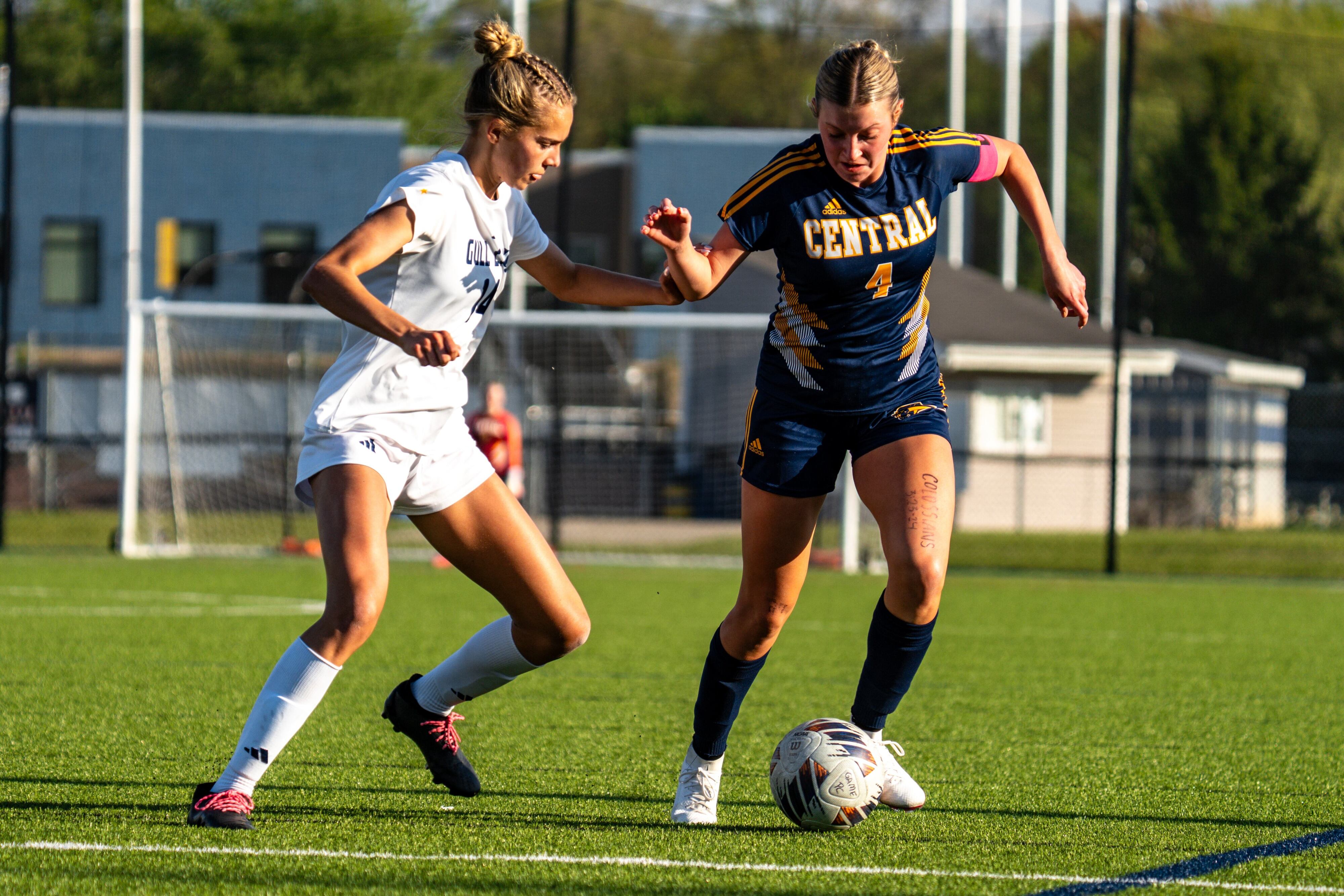 See the Kalamazoo-area girls soccer teams that will play for district ...