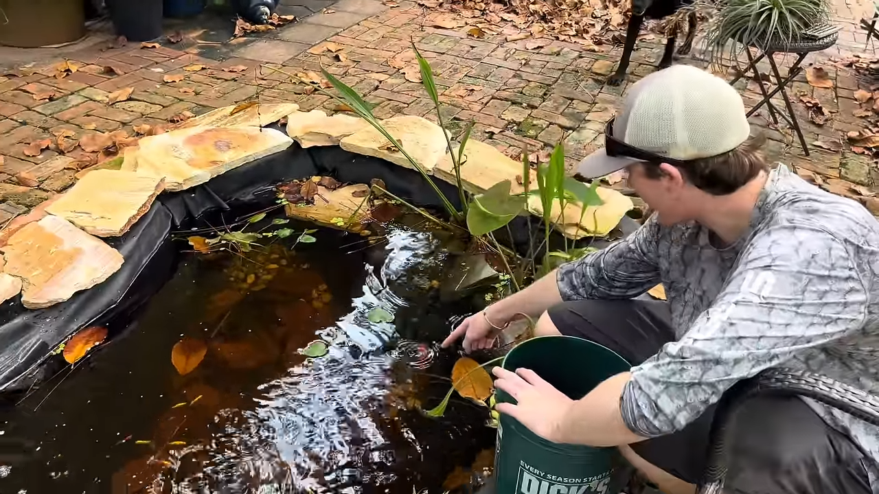 They thought it was just a slime pond until expensive fish started ...