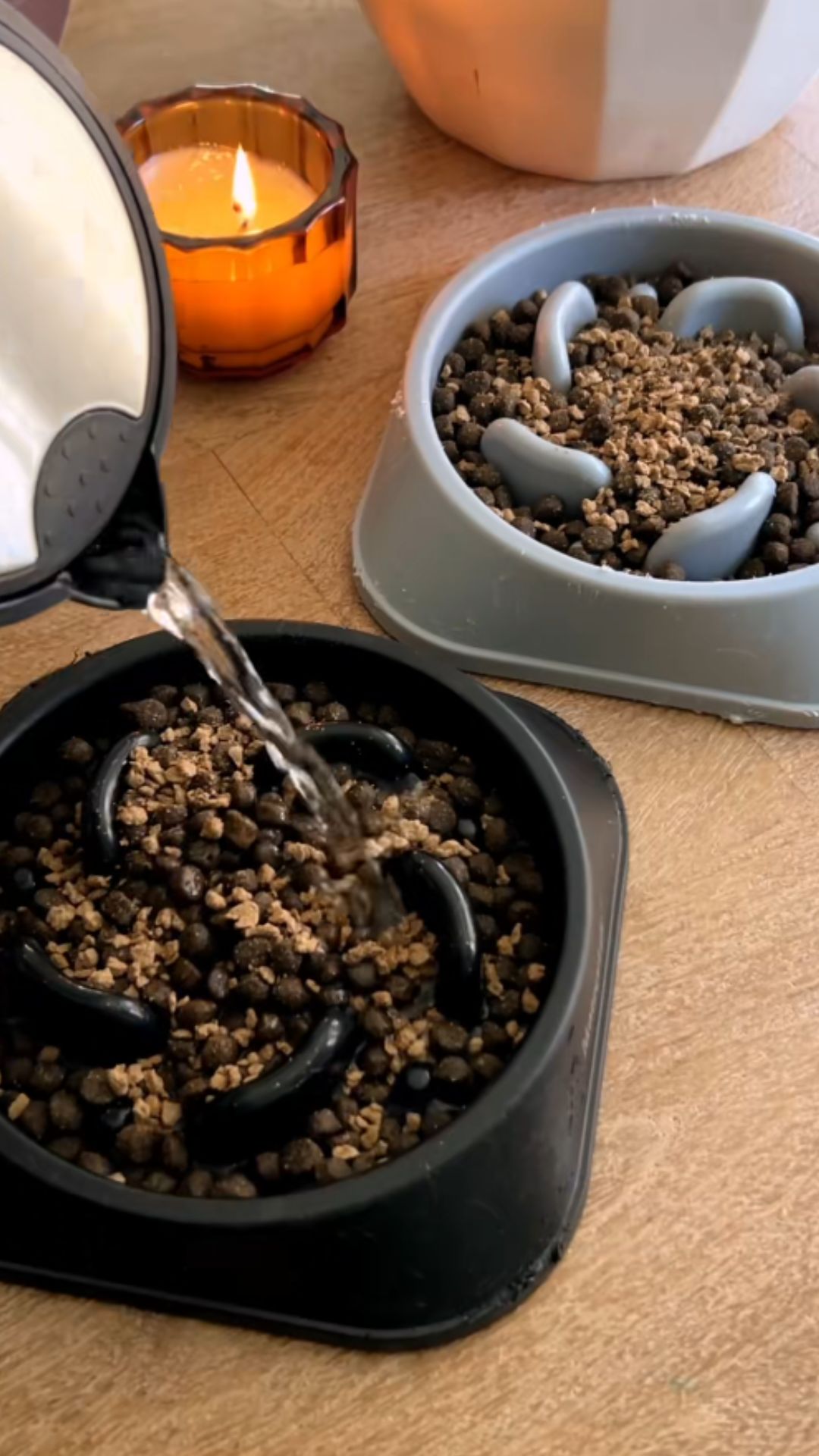 Organized dog meals: Lunch to dinner for three pups