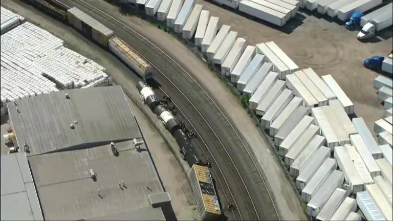 Freight train derails in Cook County