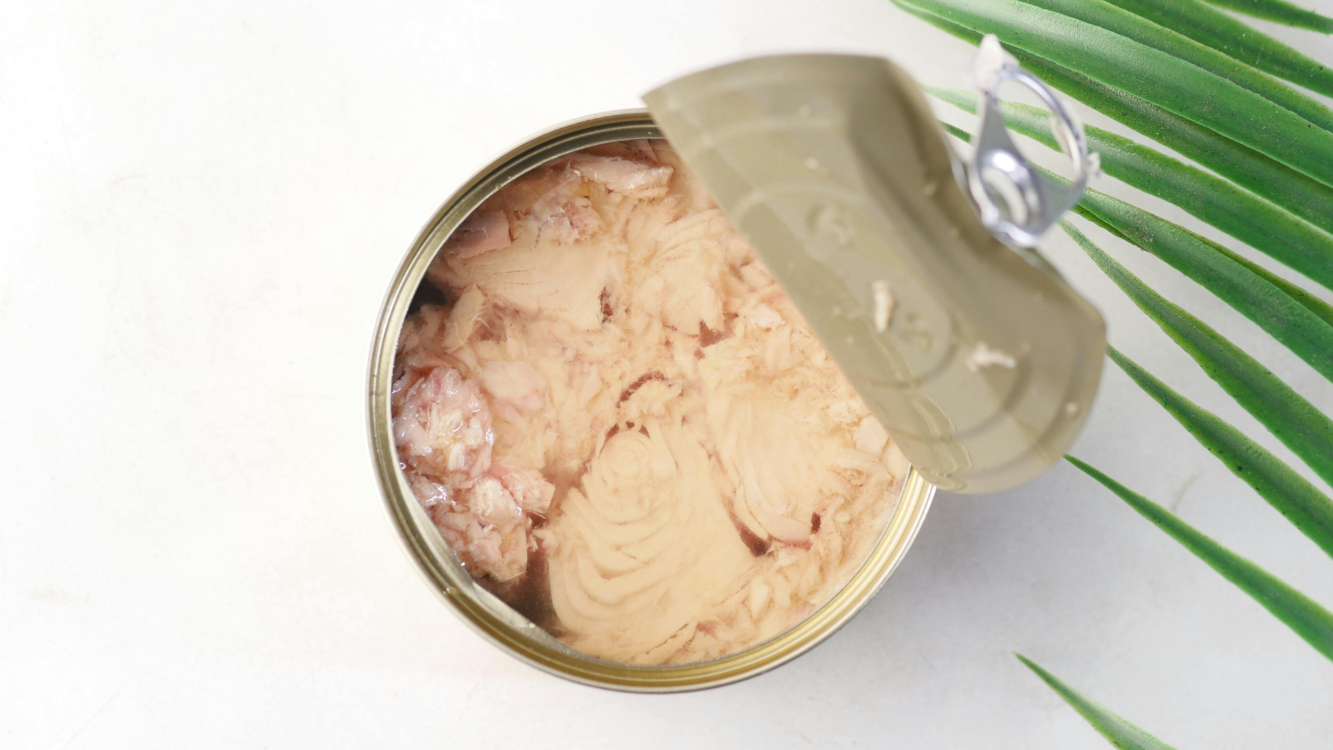 20 foods that prevent vitamin D deficiency