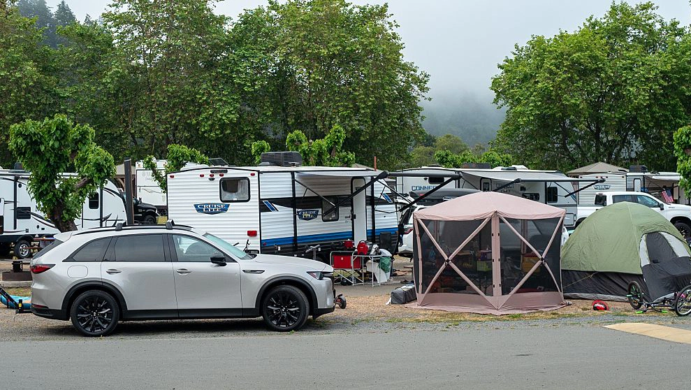 Families embrace campgrounds as reunions shift outdoors