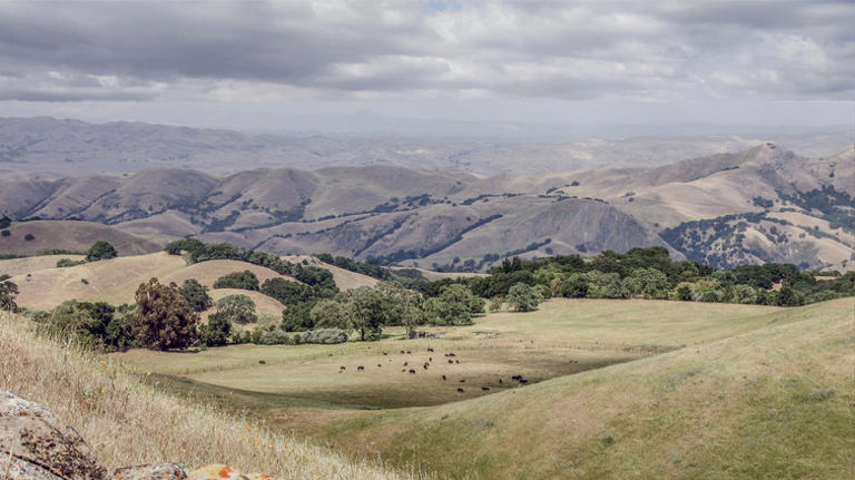 Forget Yosemite National Park, visit this underrated preserve for ...