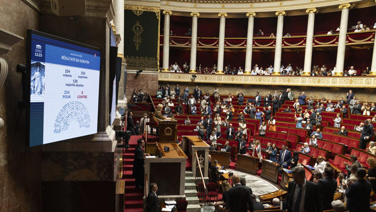Frans parlement schaft Code Noir af, bijna 350 jaar na invoer slavernijwet