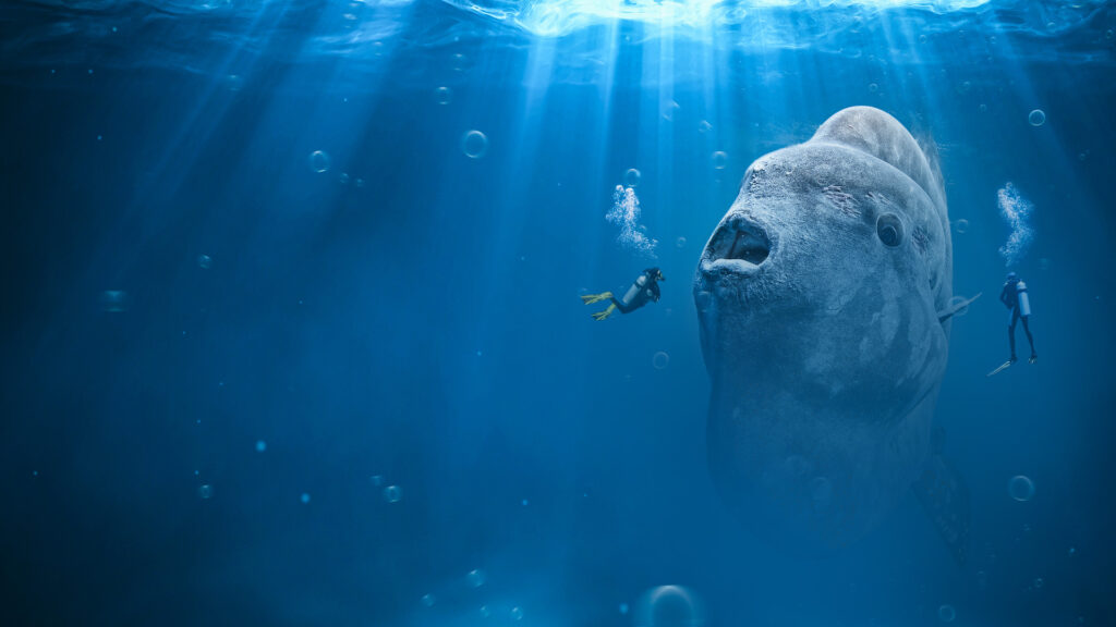 They found the biggest fish in the world