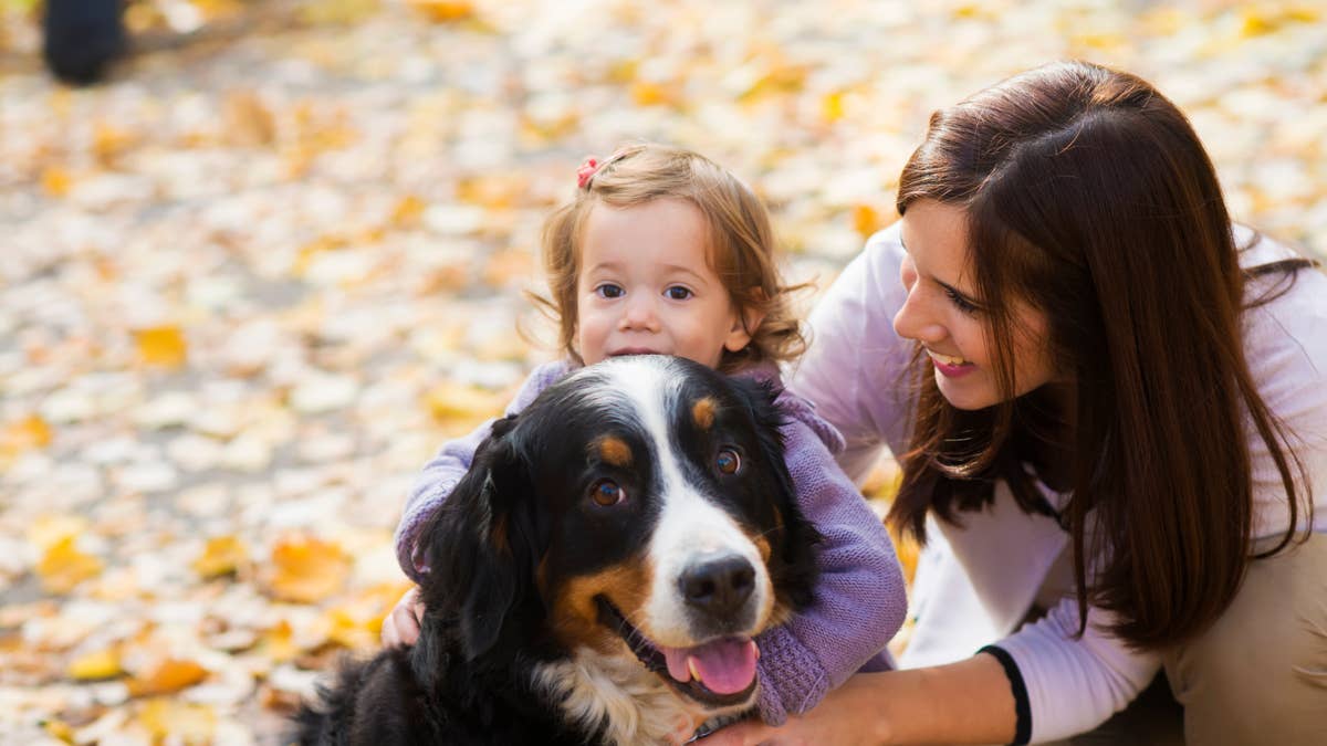 A Bernese mountain dog just realized the new baby is here to stay, and ...
