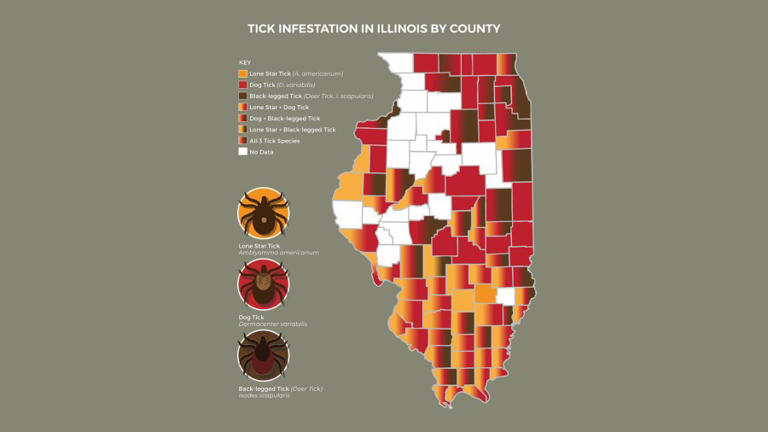University of Illinois study reveals where ticks are most common in ...