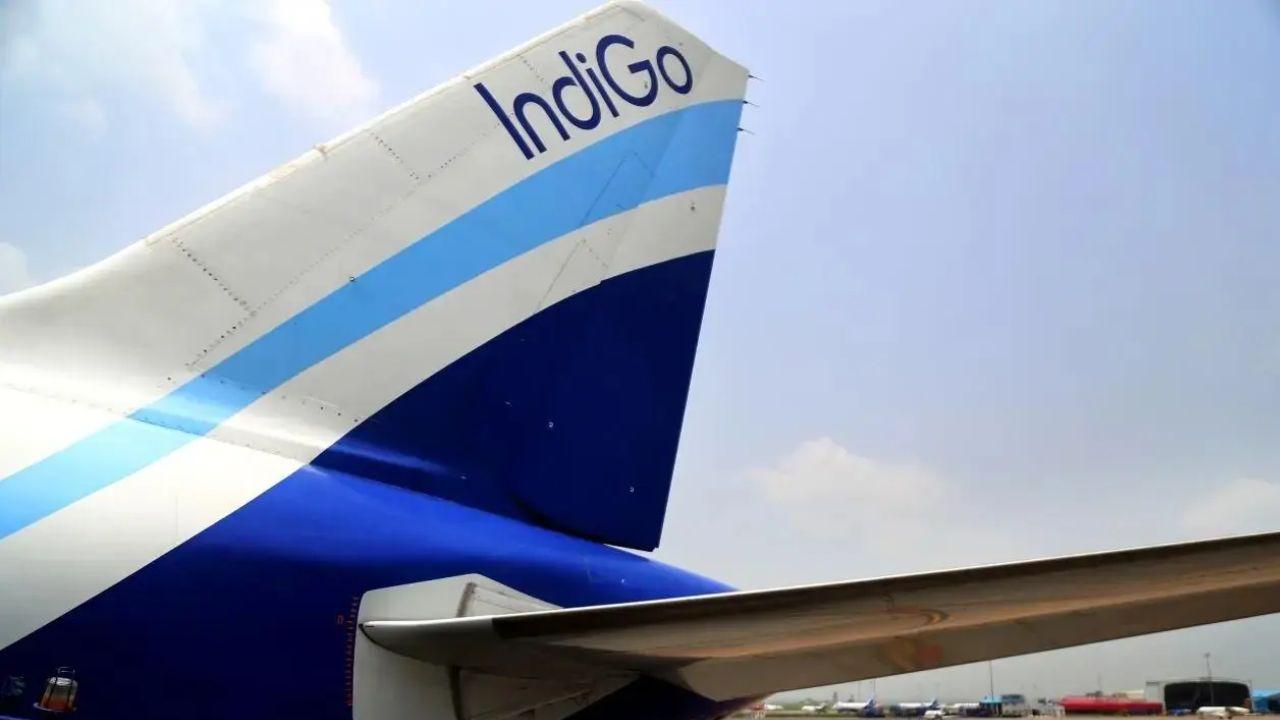 IndiGo to cut domestic flight capacity by 7 per cent amid rising fuel costs