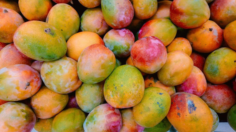 What went wrong? Why Japan has banned Indian mangoes again after 20 years