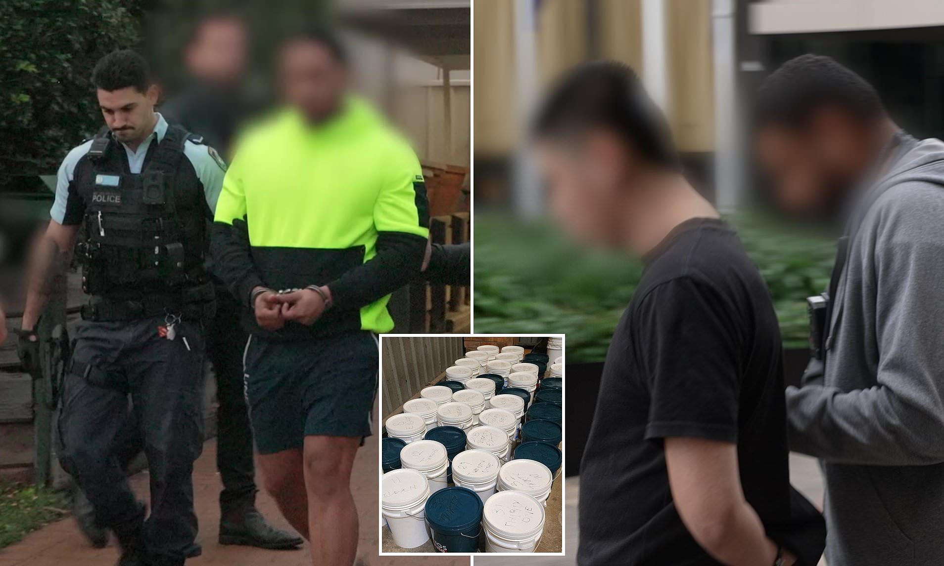 Coconut Cartel cracked: Police claim they have dismantled new gang ...