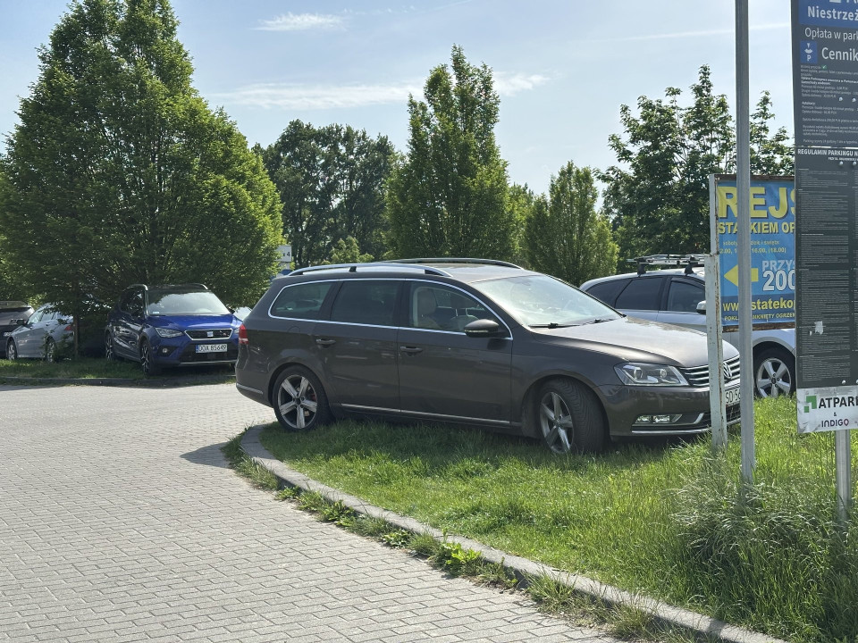 Kierowcy znów niszczą wyspę Bolko. Auta parkowały na trawnikach i w parku