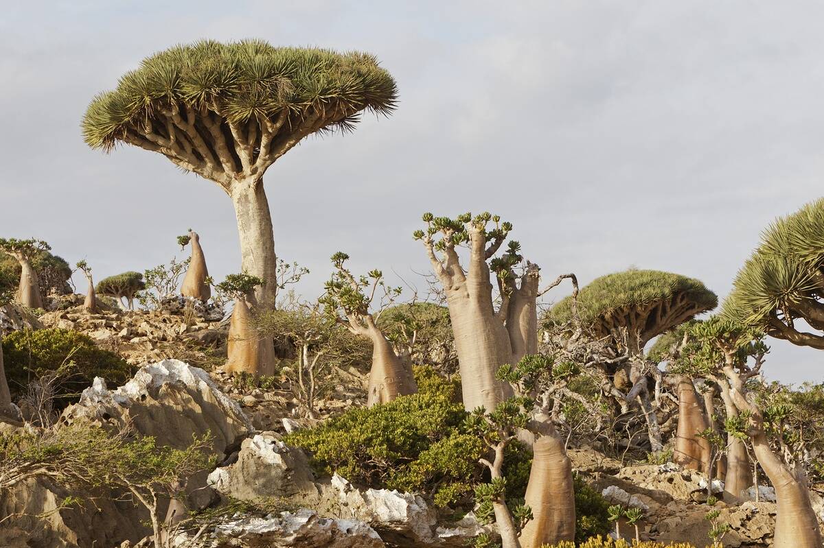 Facts about the world’s most isolated places