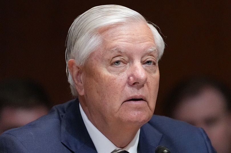 Lindsey Graham branded 'extremely stupid' by Fox News viewers after ...
