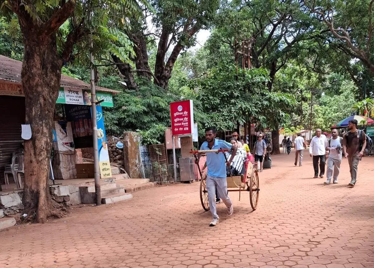 Months after Supreme Court orders a stop on hand-pulled rickshaws, it ...