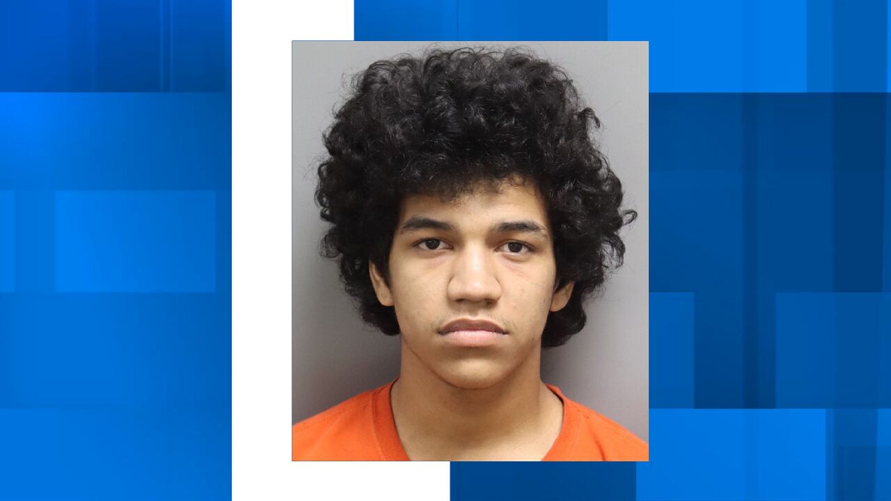 Summerville 'predator' accused of sexually abusing Midlands minor