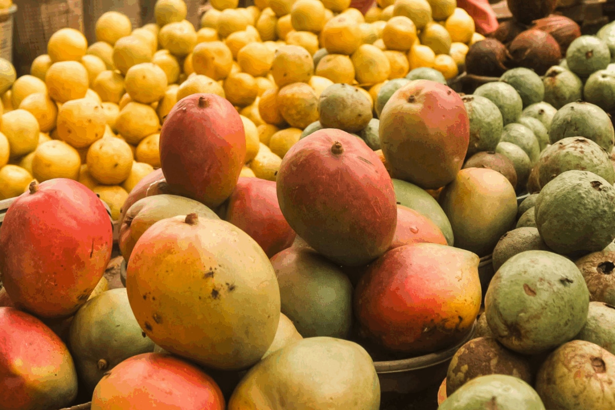 Mango crisis: Why Japan just banned the 'king of fruits' – and who is ...