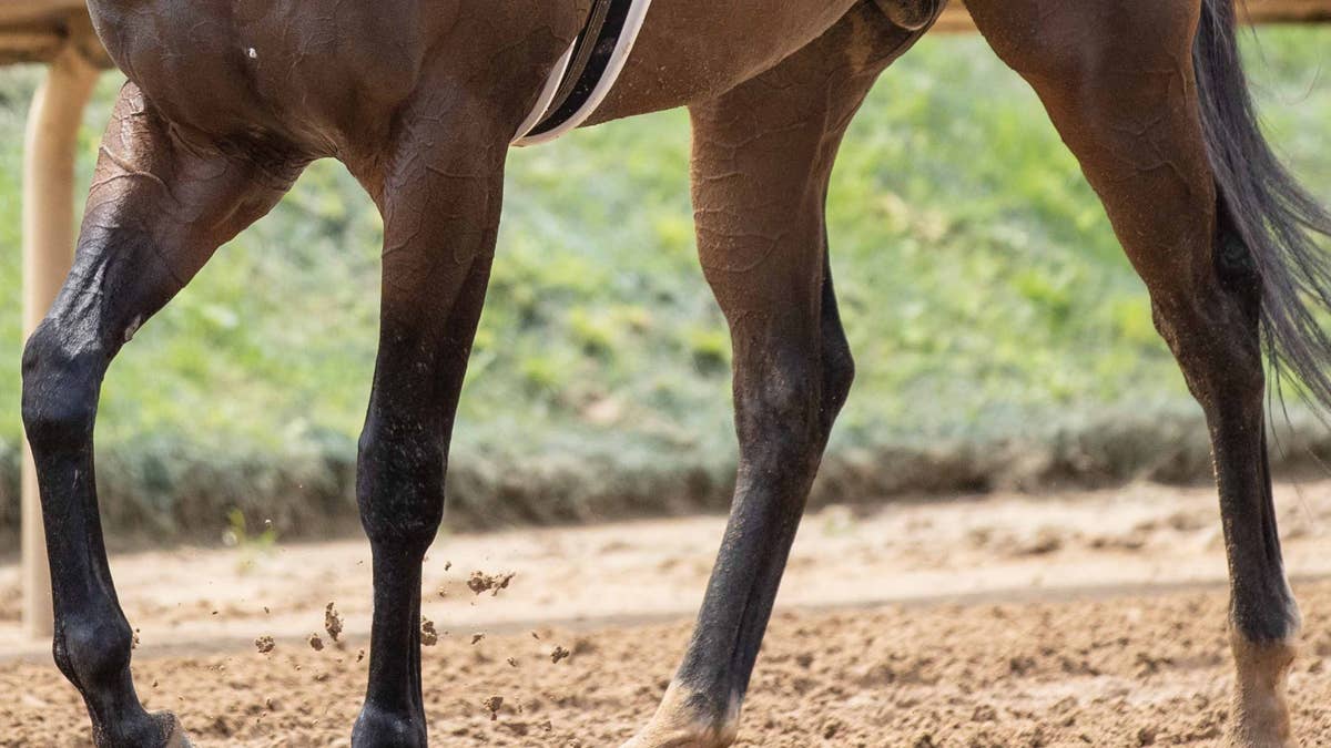 Great Falls Turf Club cancels summer races due to budget shortfalls