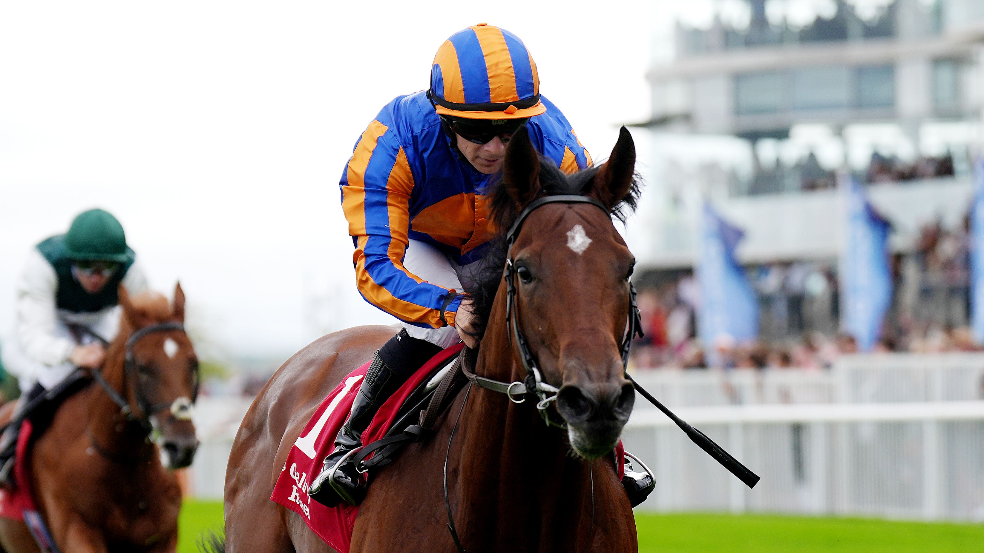 O’Brien: Chantilly is the right spot for Constitution River