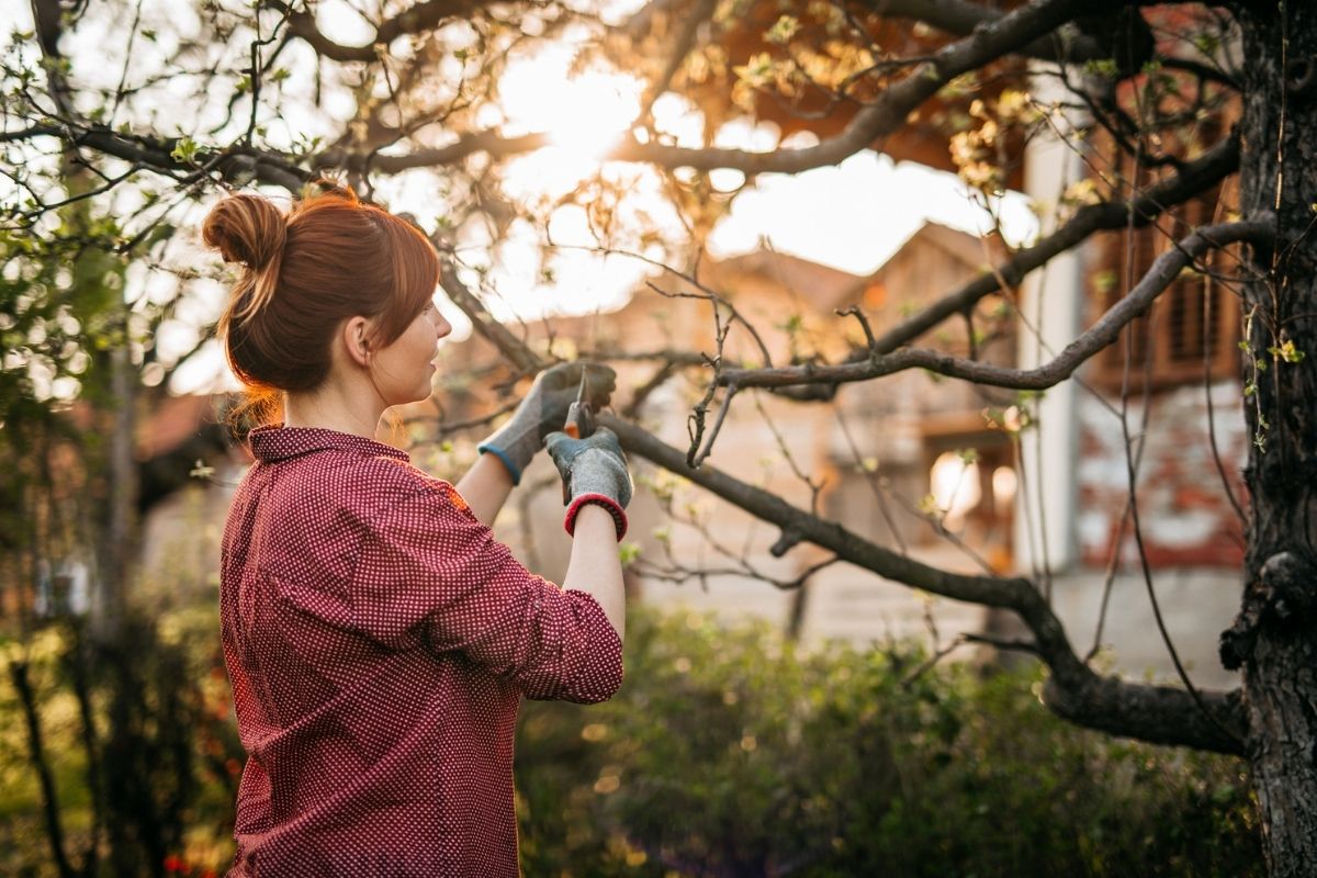 Quelques conseils pour protéger votre maison contre les vents forts