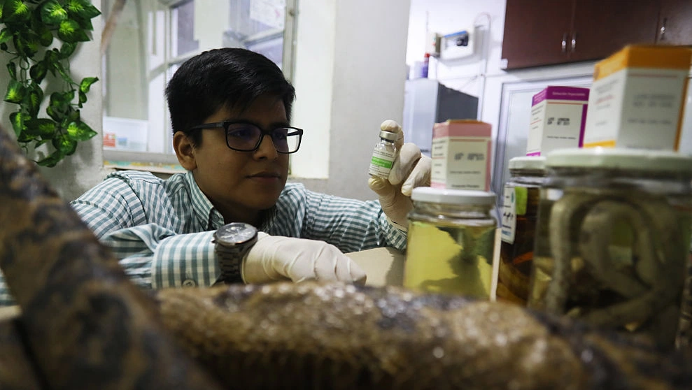 Fungal and parasitic diseases threaten southeastern US snakes