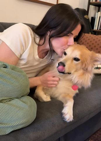'SimonSits' creator Isabel Klee shares health update on beloved dog ...