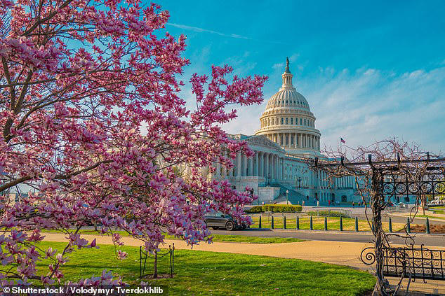 You could win $250K by building historic US landmarks out of Doritos ...