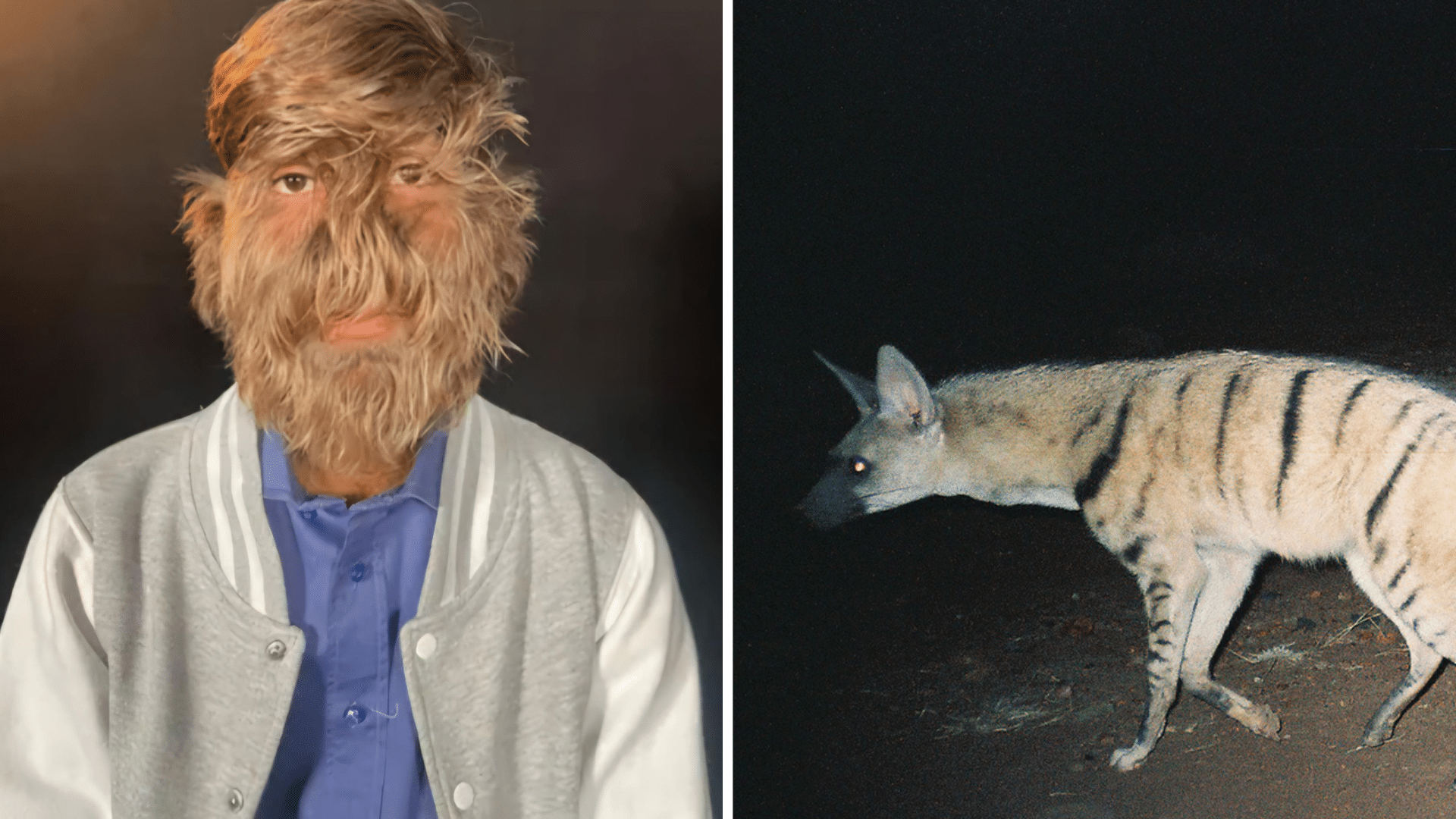 Real-life creatures that sparked enduring cultural ghost stories