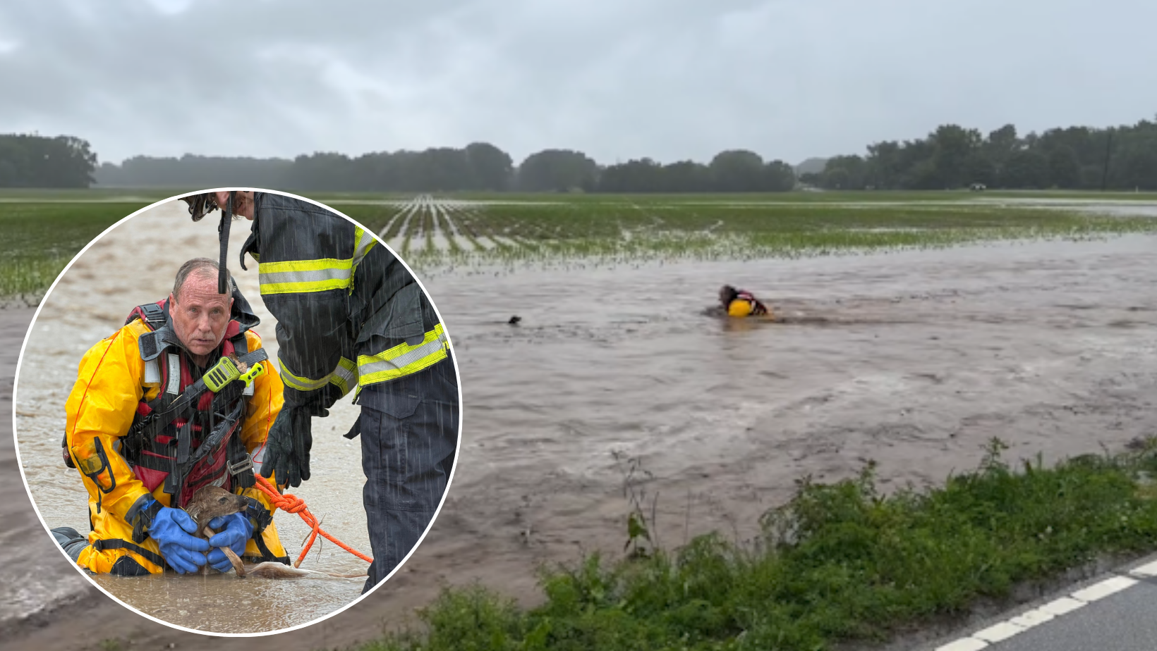Watch: Firefighter wades into floodwater to rescue baby deer in Indiana