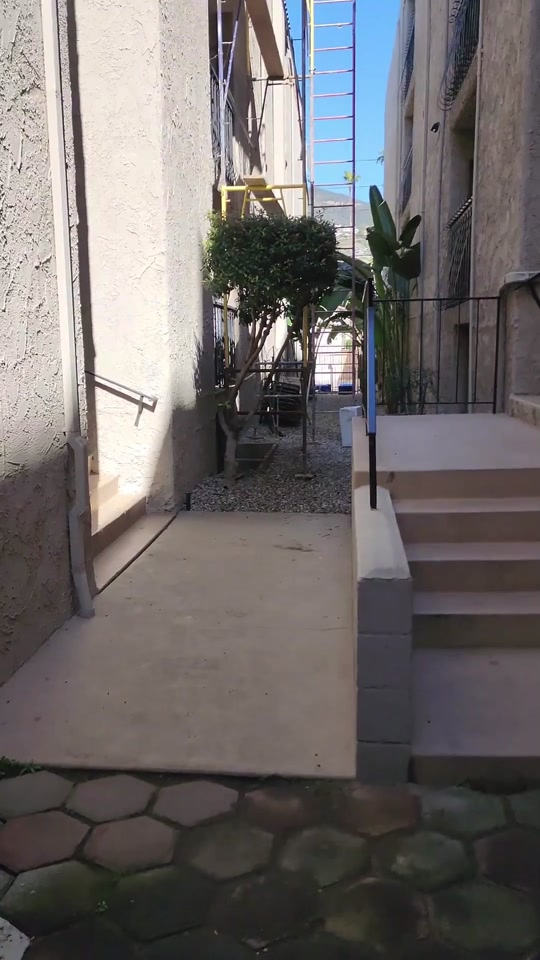 Massive rooftop beehive uncovered at four-story apartment