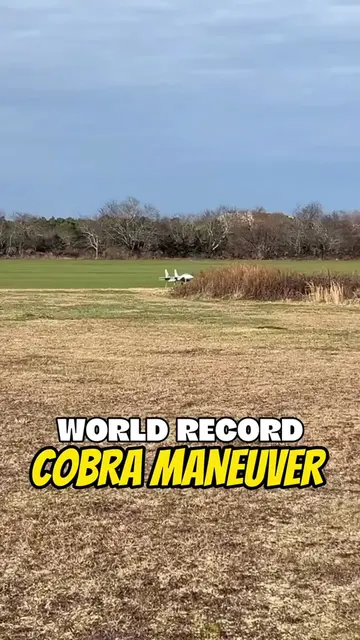 RC F-15 pulls off ultra low Cobra maneuver