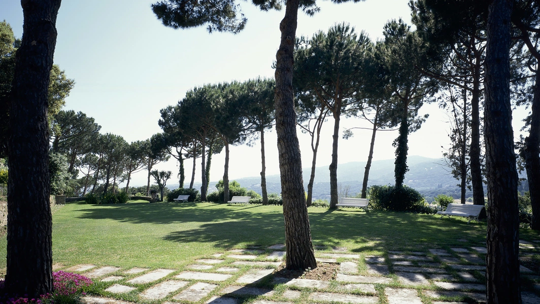 Shade gardening ideas for lush green spaces
