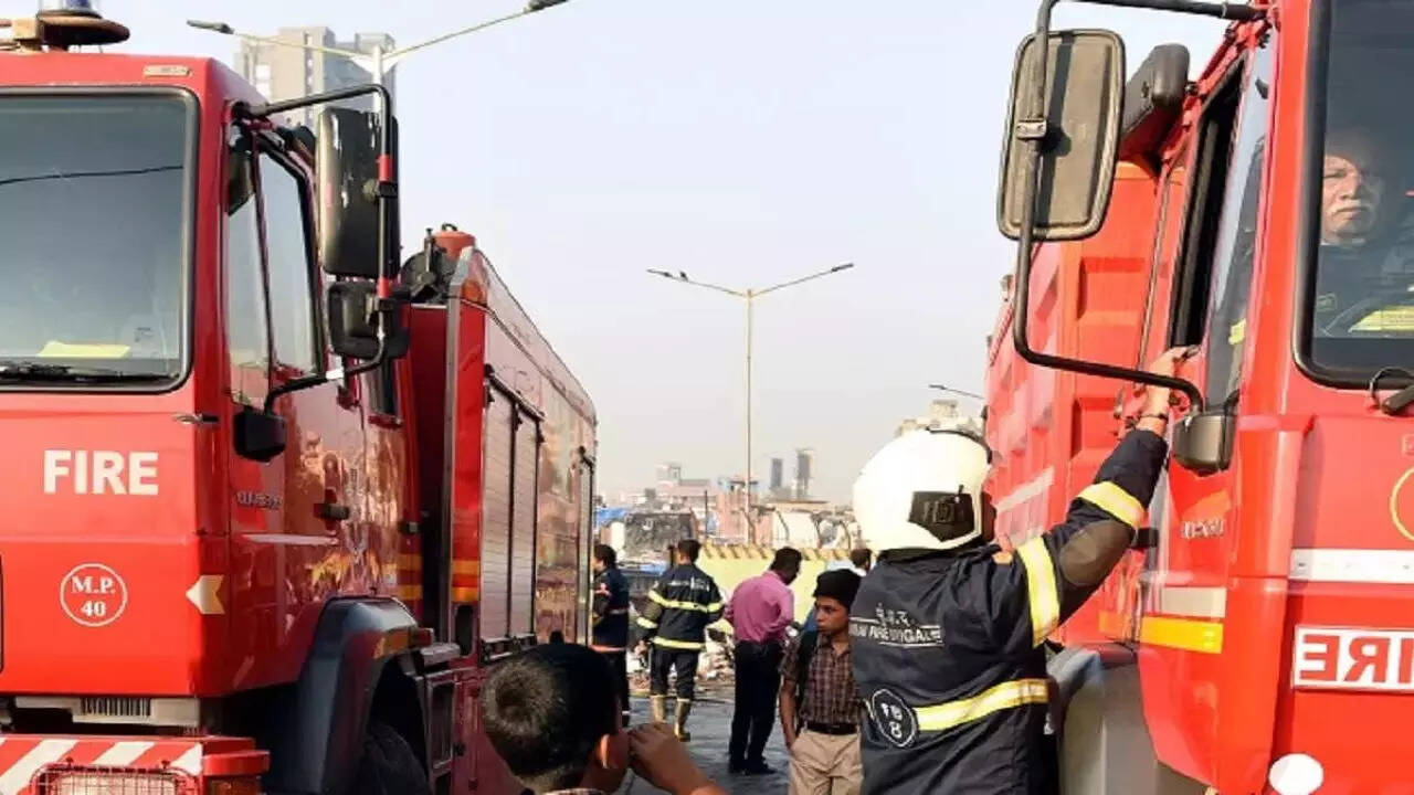 Retired IAS officer dies after fire breaks out at Delhi house; son injured