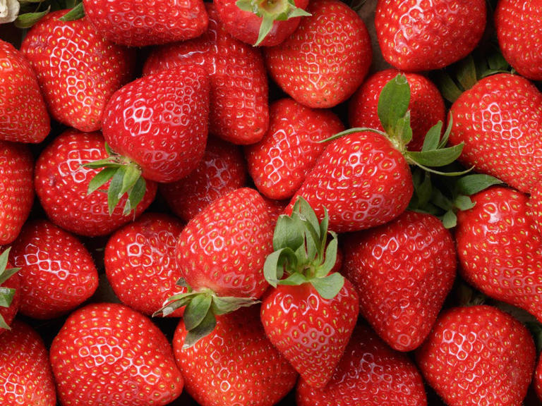 Swampscott Strawberry Festival back for 2026