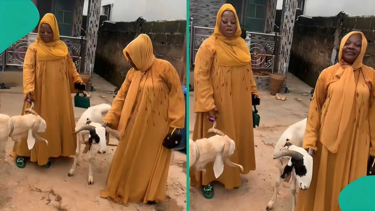 Watch how two wives celebrated their Muslim husband after buying each ...