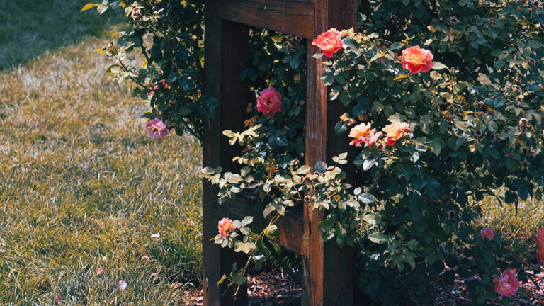 Why your next favorite garden trellis is hiding in your garage