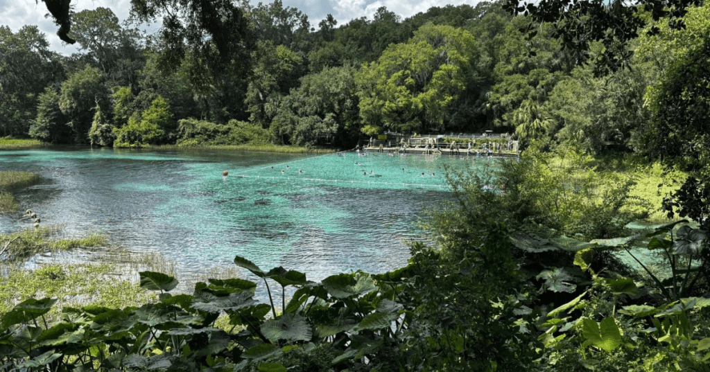 10 Florida road trips that showcase the best of the Sunshine State