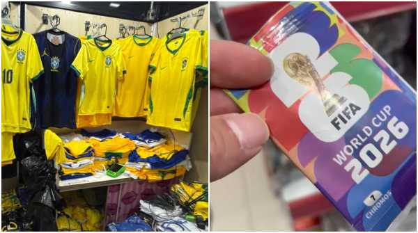 Polícia Civil apreende mais de 85 mil figurinhas e álbuns falsos da ...